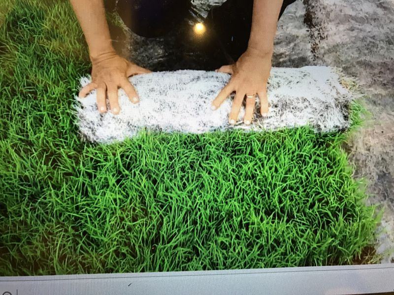 Cách cuộn mạ - An Đình